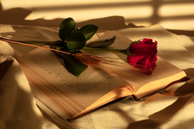 11 Intriguing Facts About Poetry That Will Ignite Your Imagination ... 11 Intriguing Facts About Poetry That Will Ignite Your Imagination ...